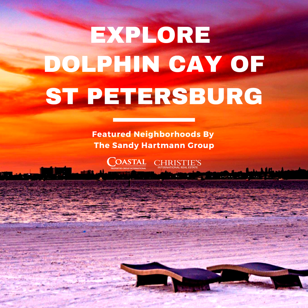 Explore The Dolphin Cay Neighborhood Of St Petersburg Florida