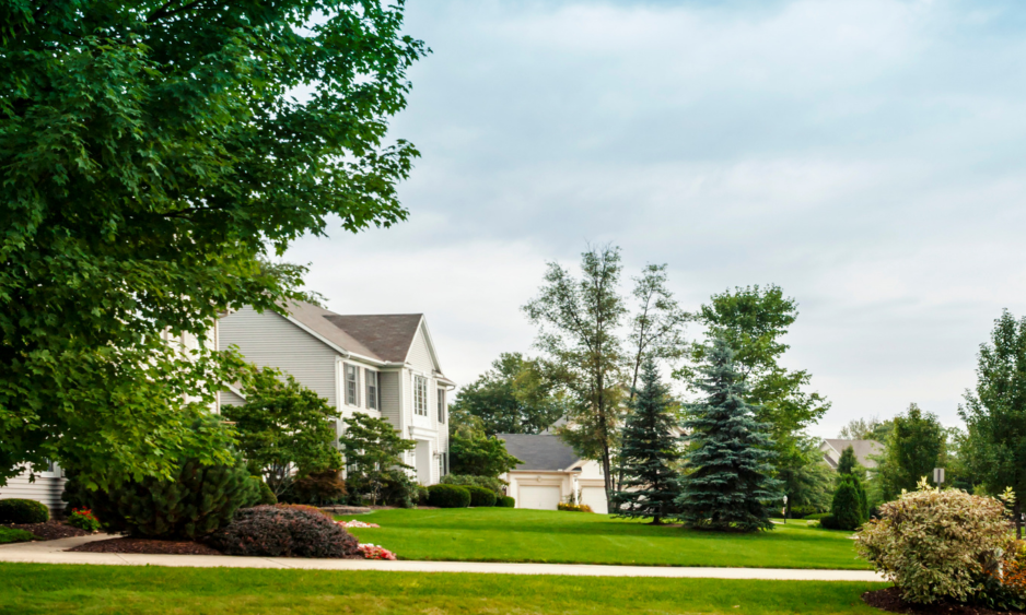 A Reputation Built on Results