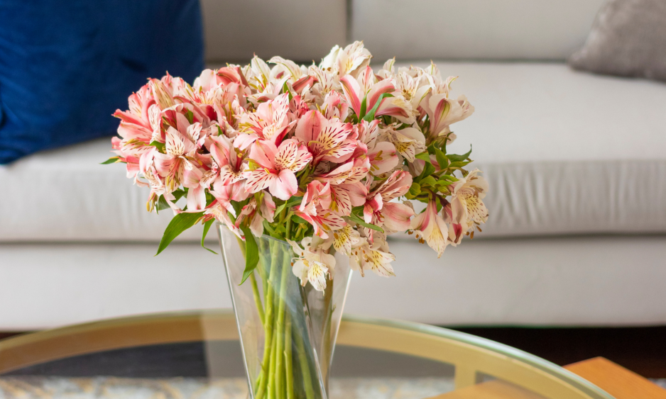 A Reputation Built on Results