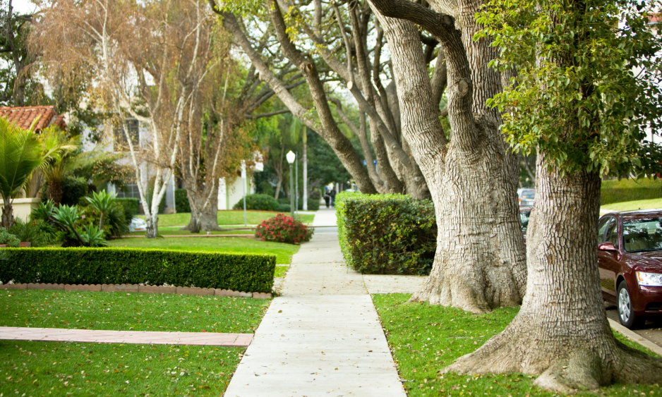 A Reputation Built on Results