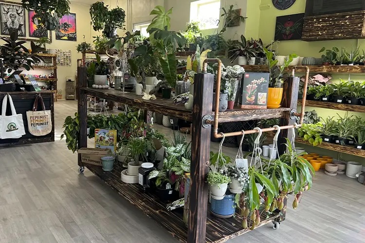 Allentown PA Real Estate & Homes for Sale | RE/MAX Real Estate