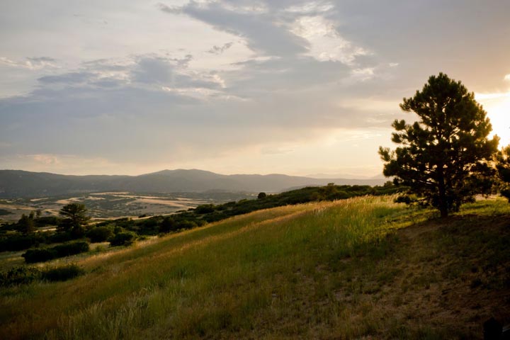 Shane Cyr Real Estate | Victoria BC Top Realtor® #southislandrealtor